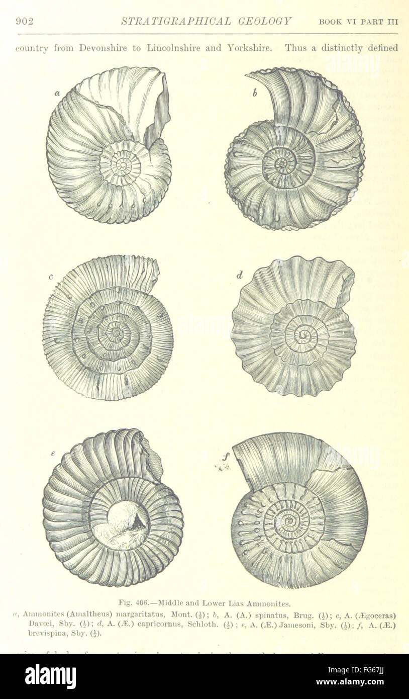 The 'Text-book of Geology' provides comprehensive coverage of ...