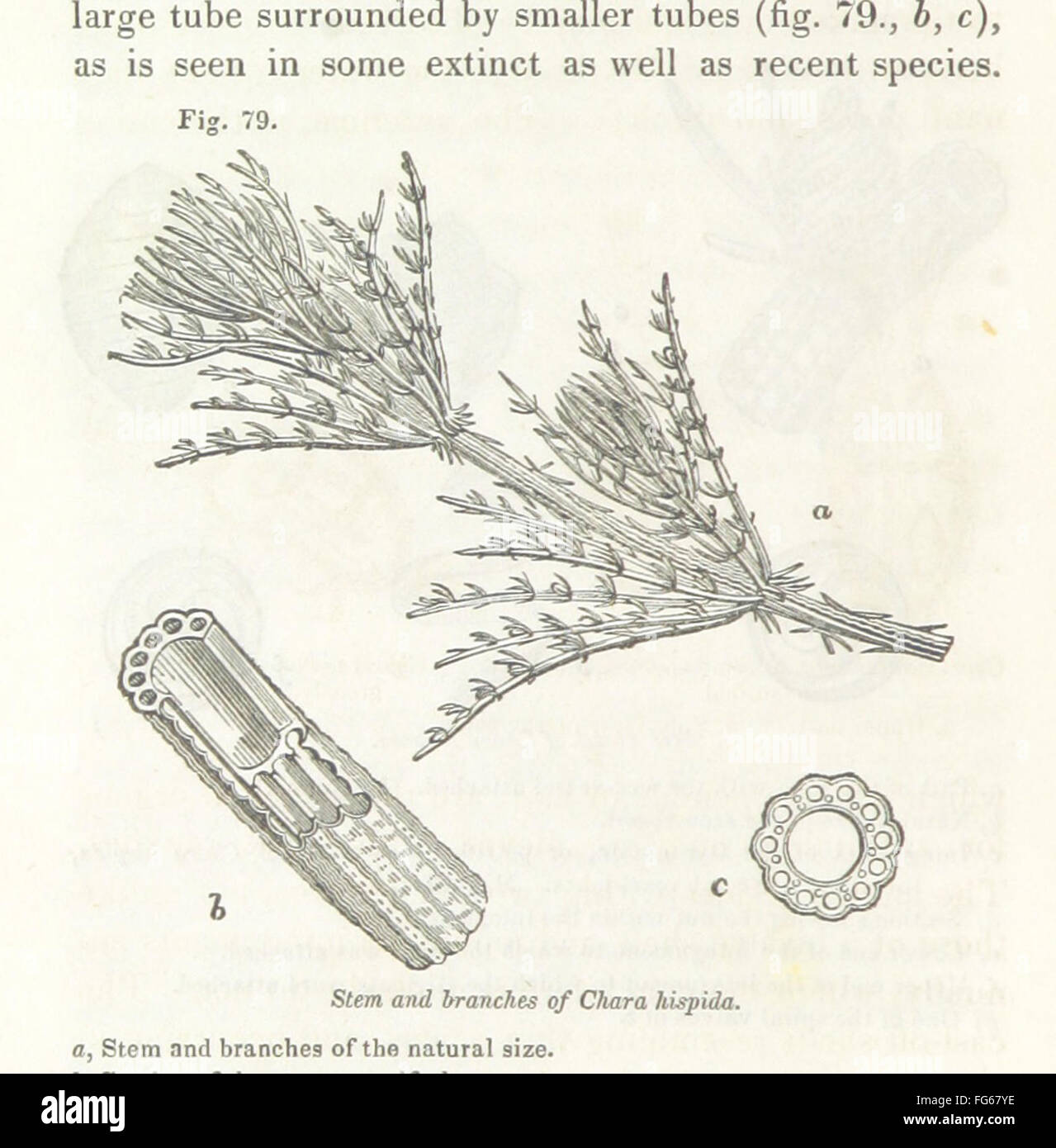 This edition of 'Principles of Geology' by Charles Lyell, reprinted ...