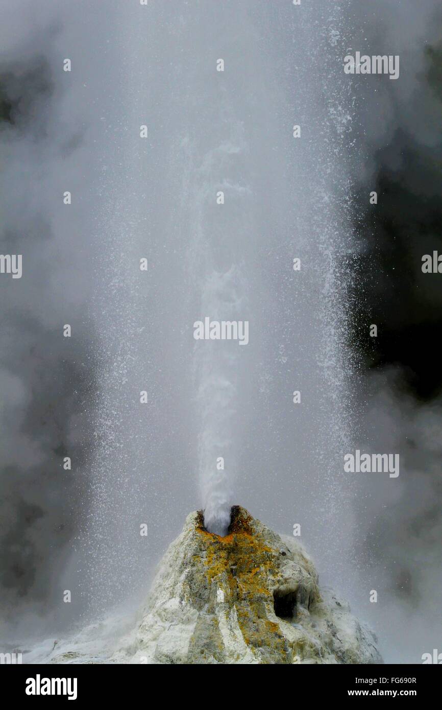 Geyser Erupting Water Stock Photo - Alamy