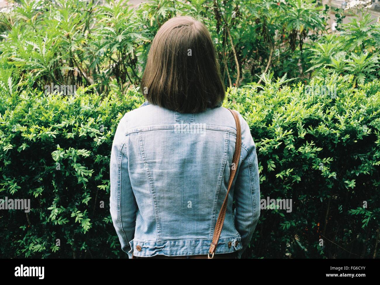 Women in jeans rear hi-res stock photography and images - Alamy