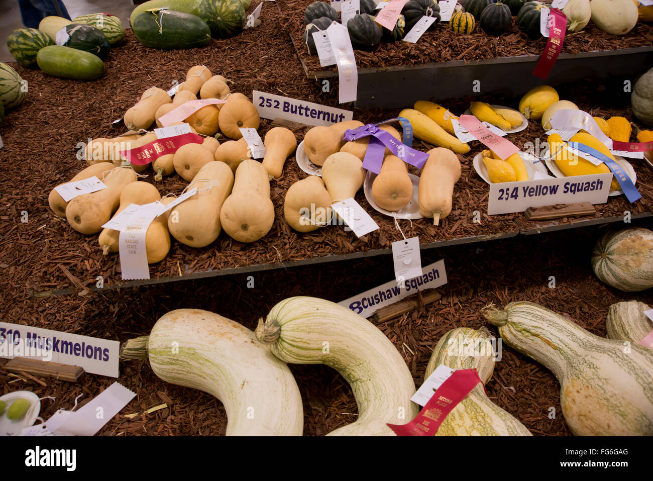 Hutchinson, Kansas, USa, 12th September, 2015 Table full gourds and ...