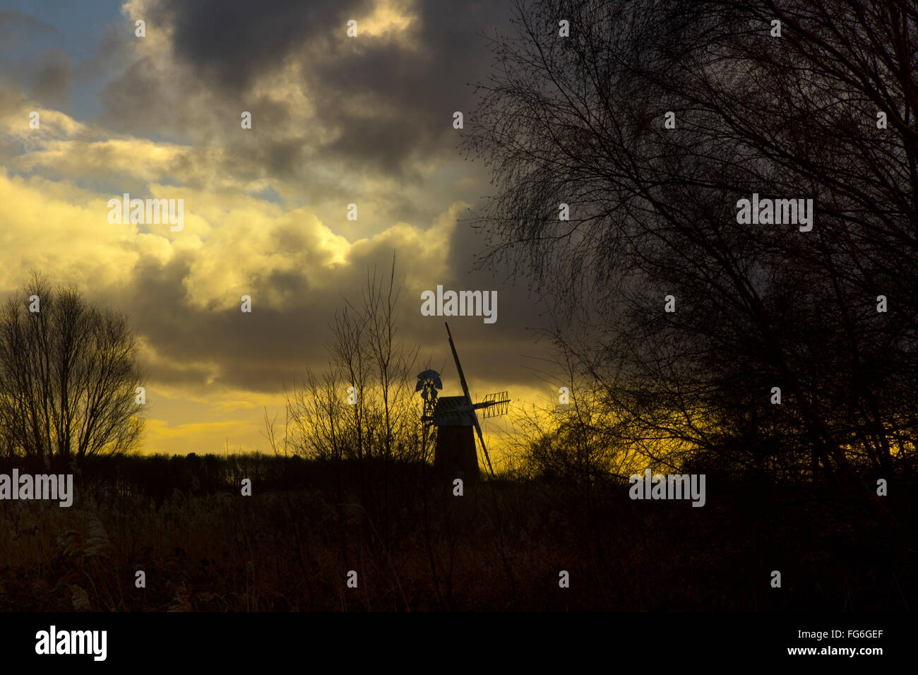 Horning windmill hi-res stock photography and images - Alamy