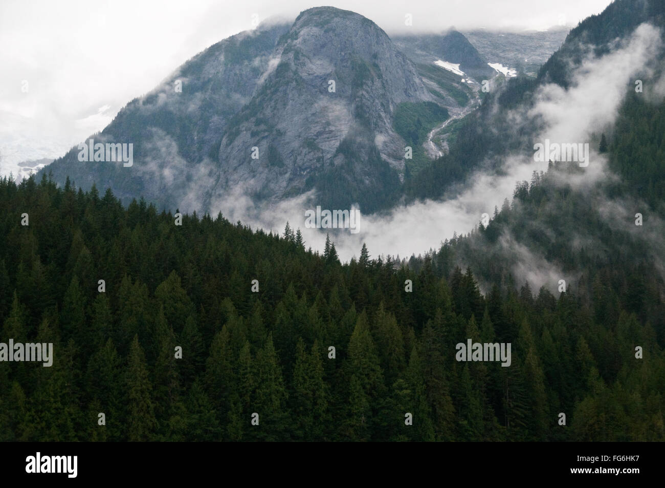 Pacific mountain fjords and glaciers in Great Bear Rainforest on the ...