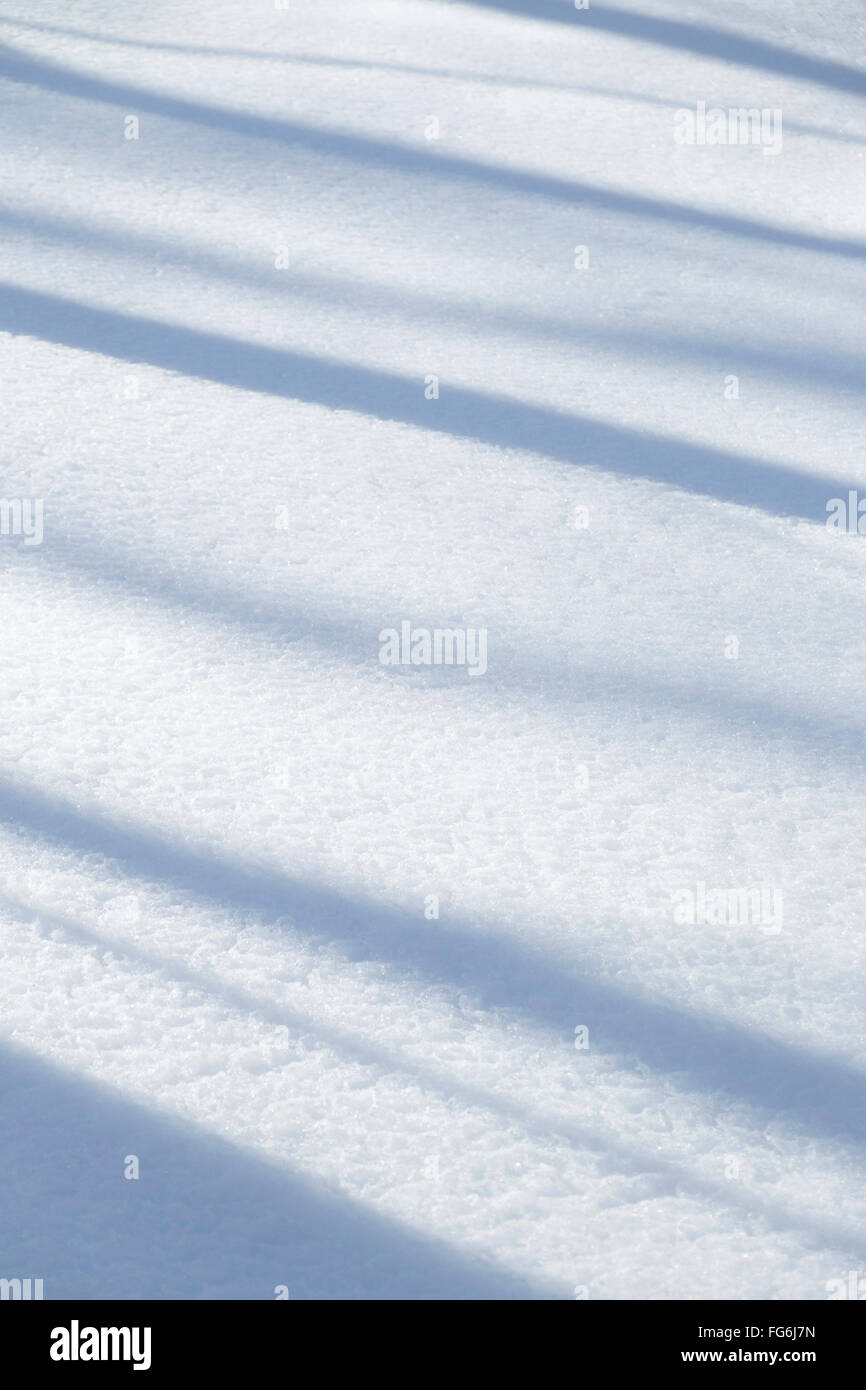 Tree shadows shadows on snow hi-res stock photography and images - Alamy