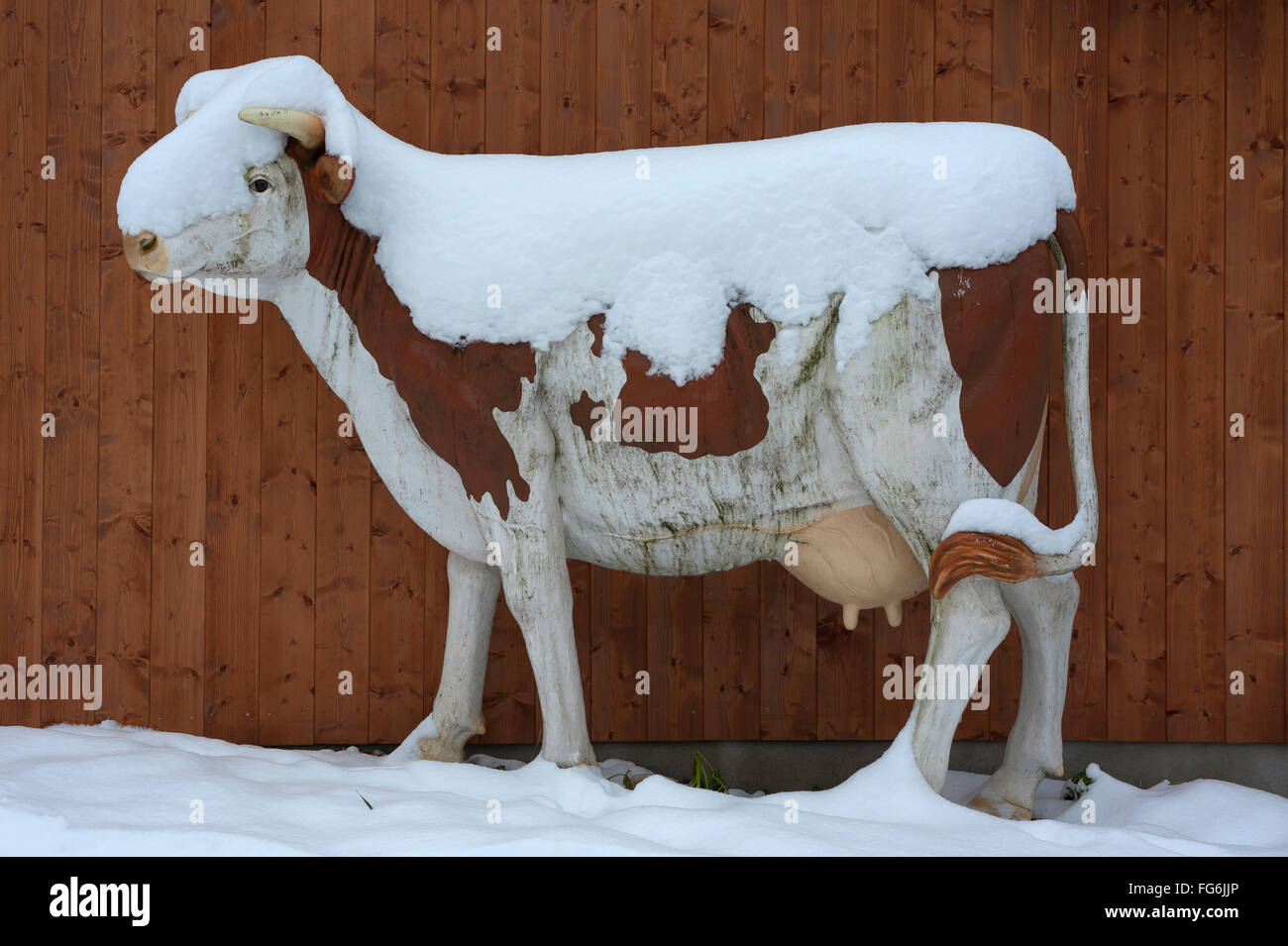 Cow figure covered in snow in front of cowshed, Bavaria, Deutschlanbd ...
