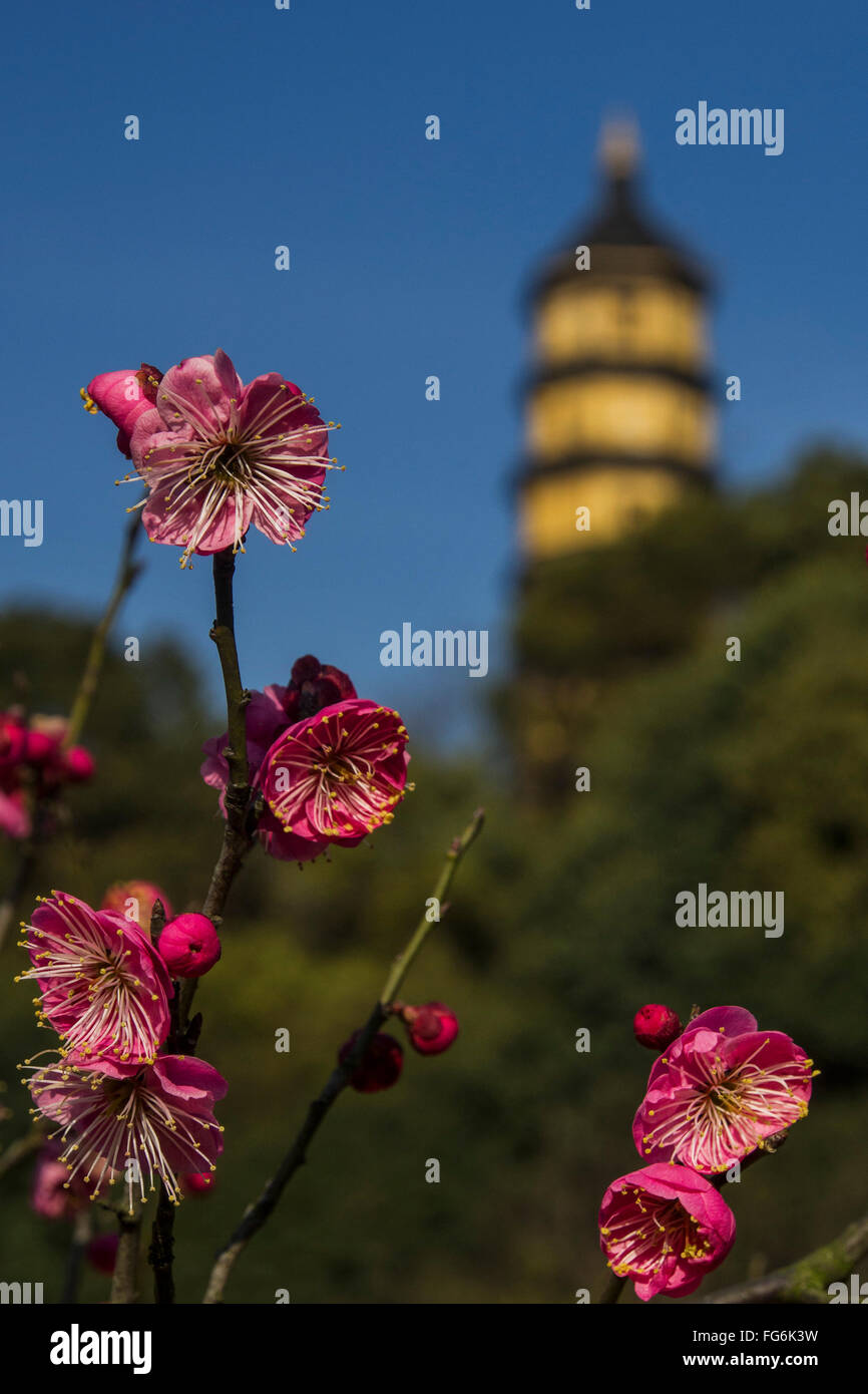 Zhenjiang city jiangsu province china hi-res stock photography and ...