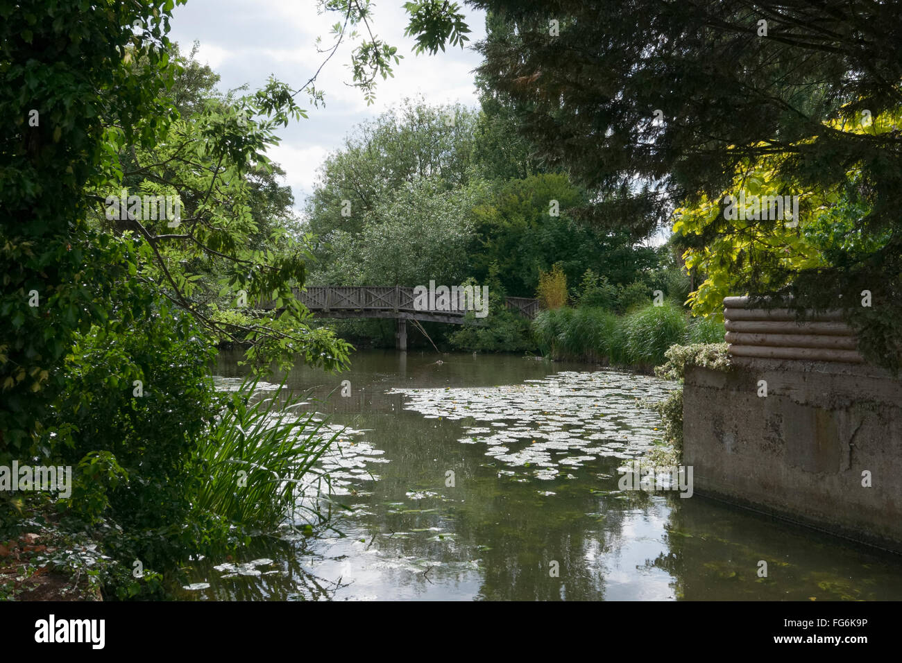 Heron Island, Caversham, Reading Stock Photo - Alamy