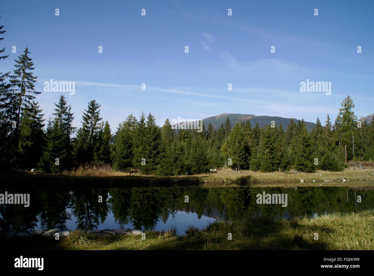 Fauna of slovakia hi-res stock photography and images - Alamy