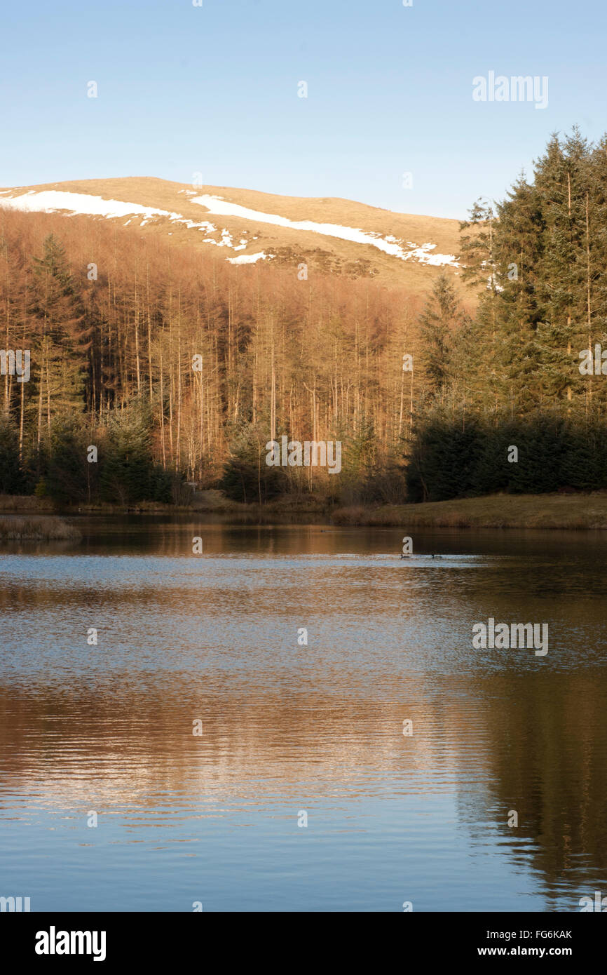 Welsh lake hi-res stock photography and images - Alamy