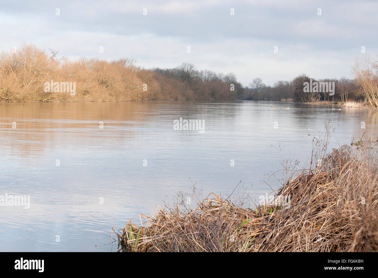 Thames rover hi-res stock photography and images - Alamy