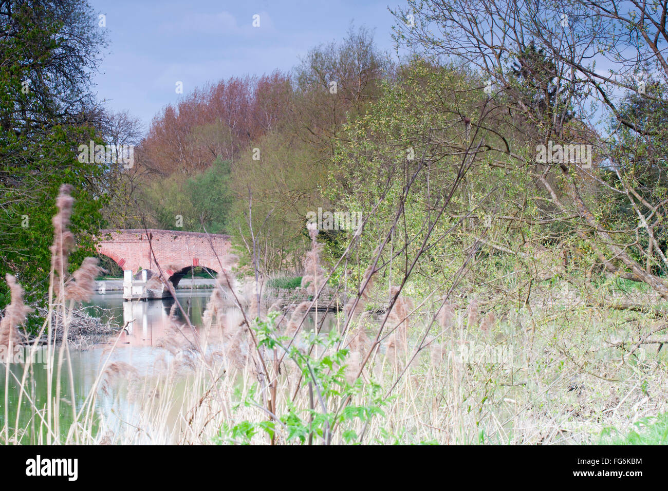 Reading river hi-res stock photography and images - Alamy