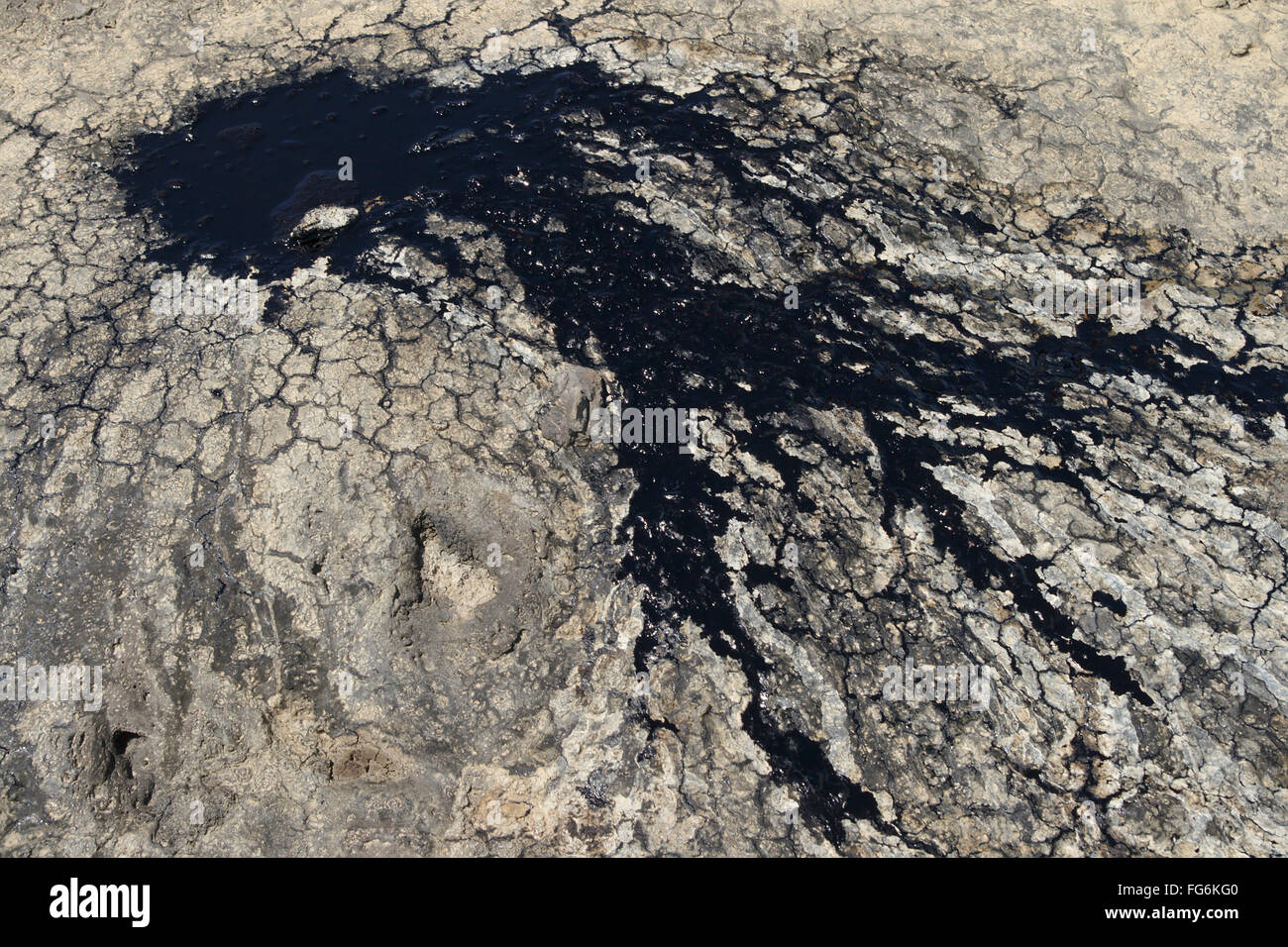 Natural petroleum seep and deposits of bitumen, north of Baku ...