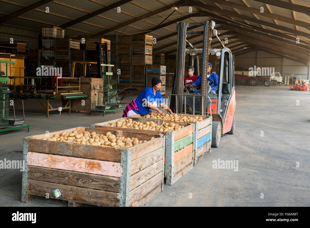 Side loader forklift hi-res stock photography and images - Alamy