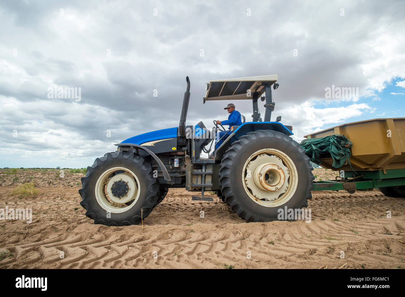 Driving tractor on potato farm hi-res stock photography and images - Alamy