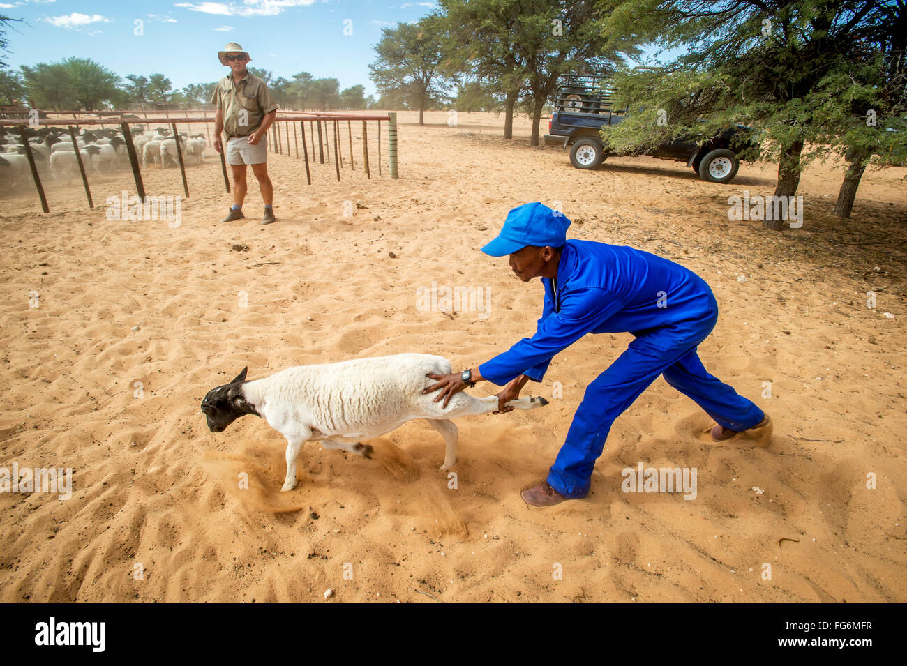 Namibia koes farmer hi-res stock photography and images - Alamy