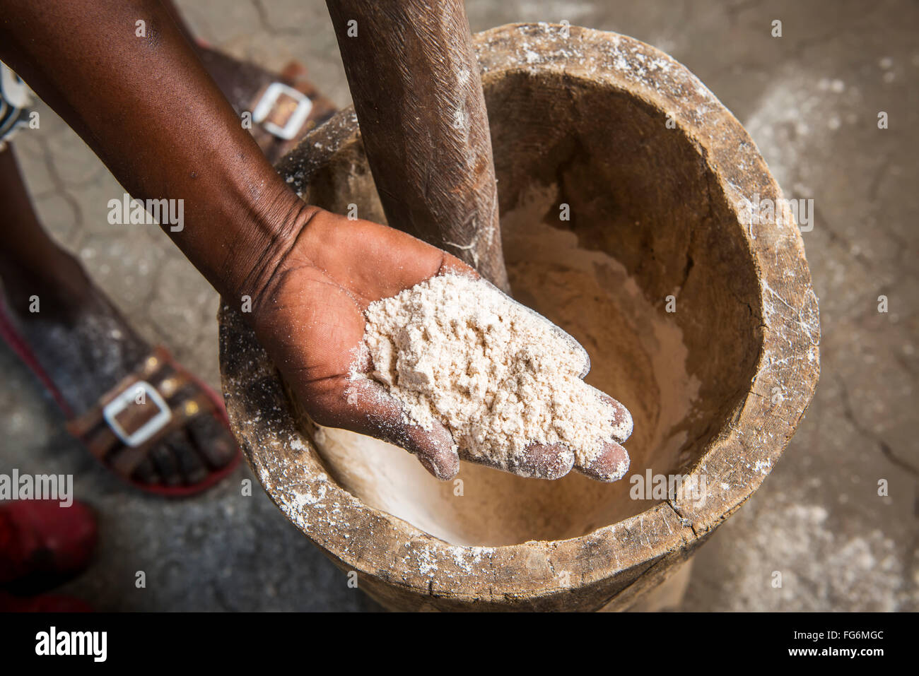 Sorghum botswana hi-res stock photography and images - Alamy