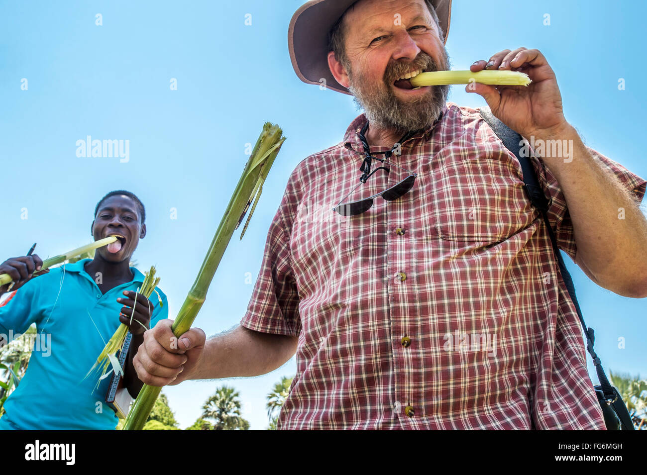 Man eating sugar cane hi-res stock photography and images - Alamy