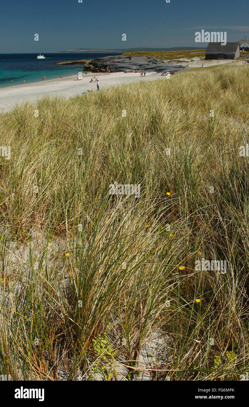 Beach on Inisheer island, smallest of the Aran islands, off the Galway ...
