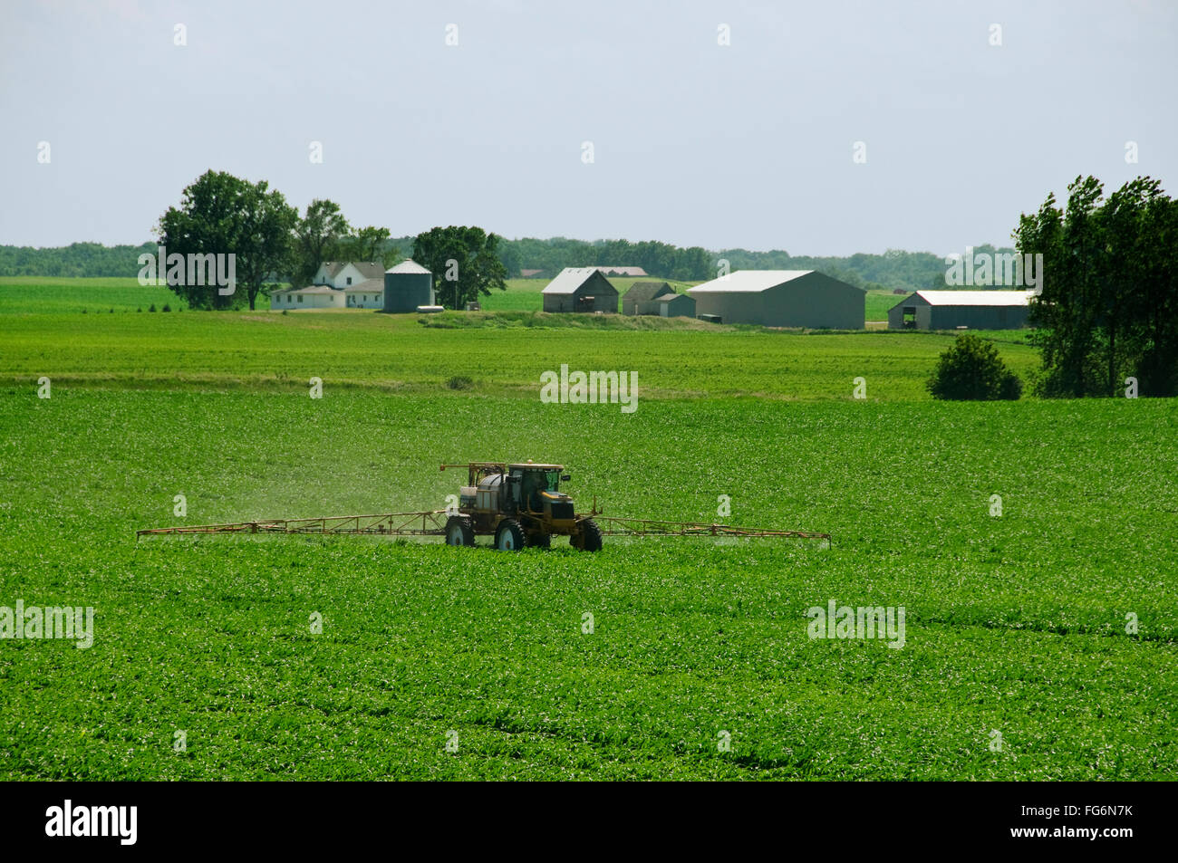 Agriculture - A RoGator spraying an early growth grain corn field ...
