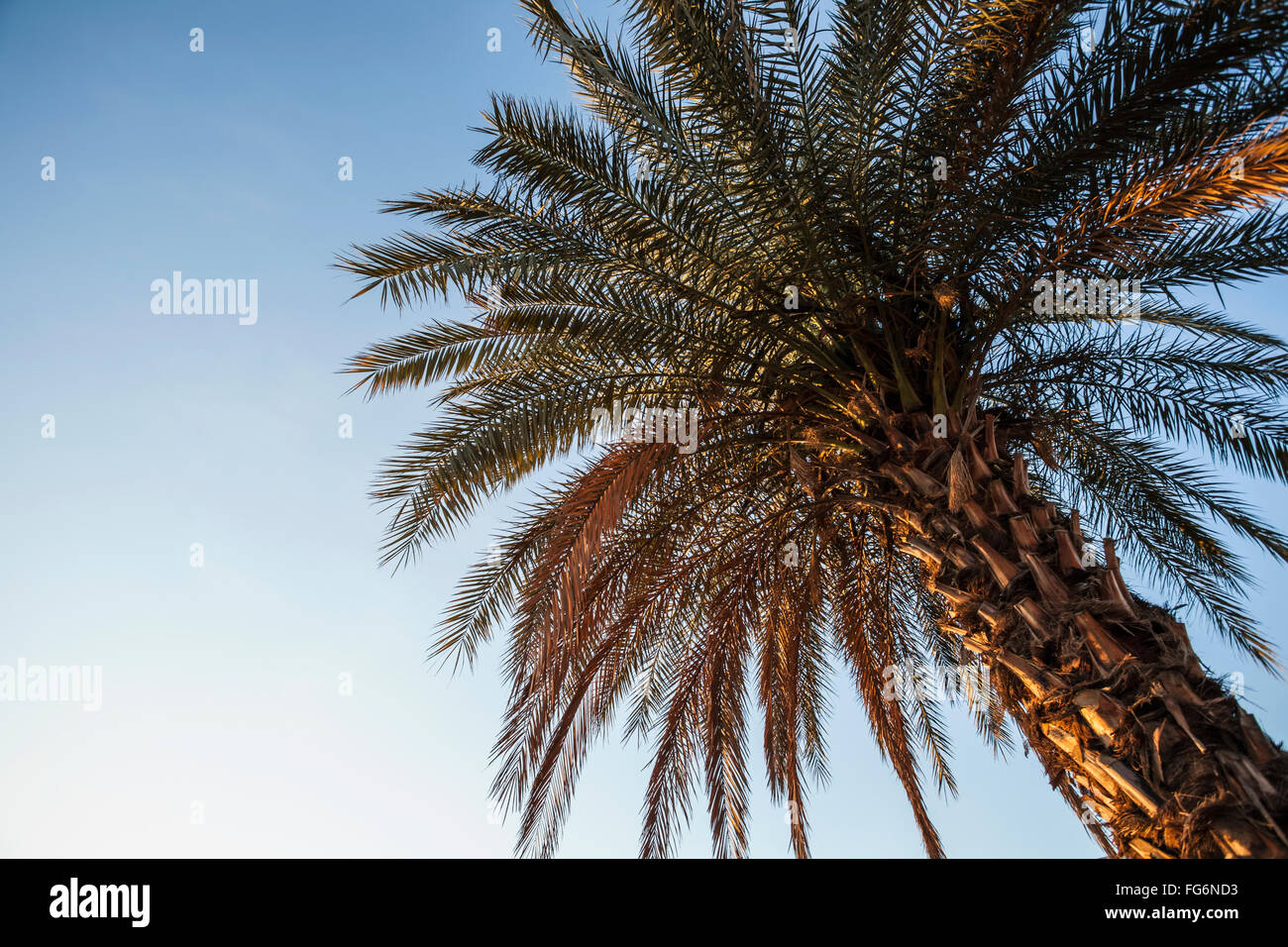 Beit bracha hi-res stock photography and images - Alamy