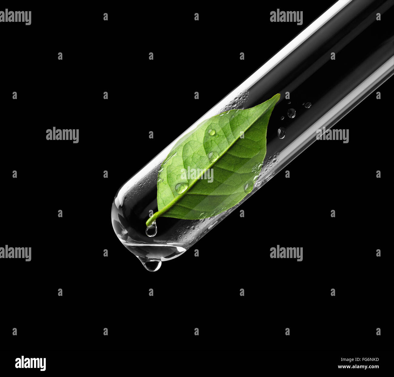 Studio test hi-res stock photography and images - Alamy