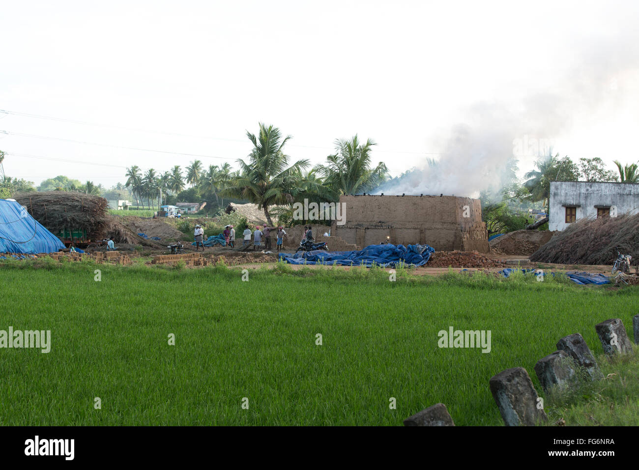 Asia India Tamil Nadu Sengal Soolai village. June 2014. All people of ...