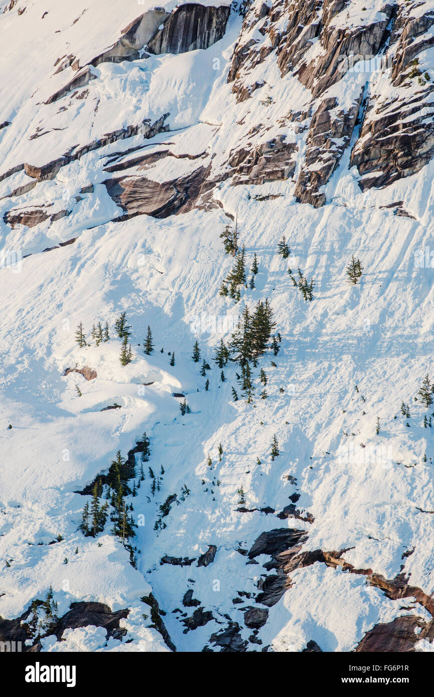 Snow covered cliffs and evergreen trees bathed in sunset light on the ...