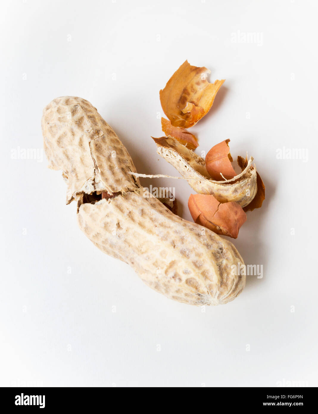 Peanuts and shell on a white background; Chilliwack, British Columbia ...