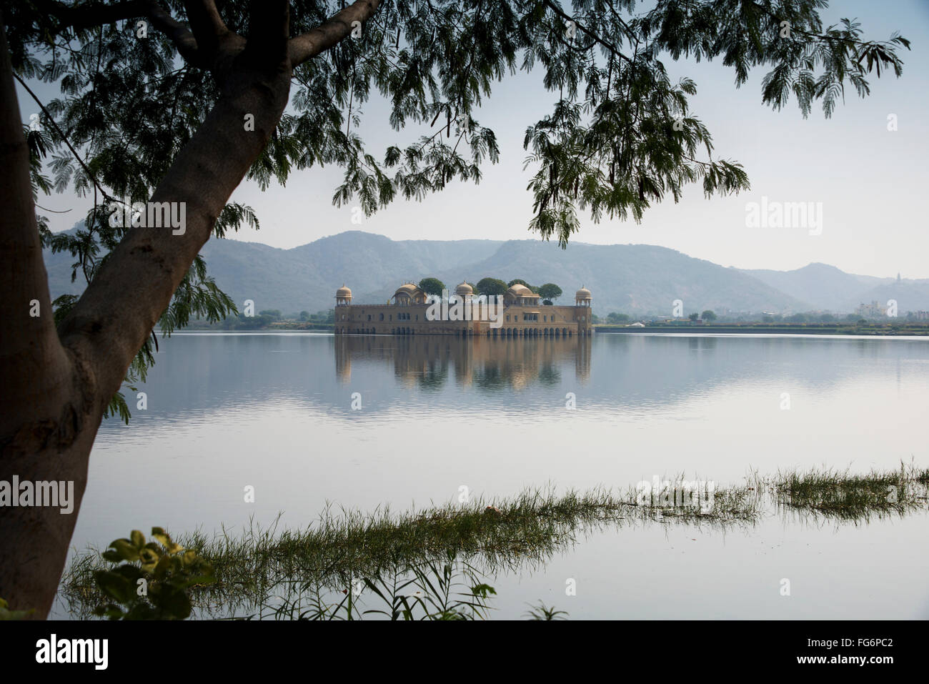 Jal Mahal palace on Man Sagar Lake through the trees; Dharpatha Mal ...