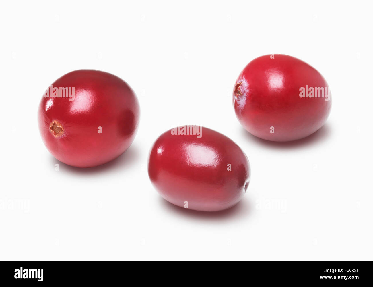 Three cranberries on a white background; Toronto, Ontario, Canada Stock ...