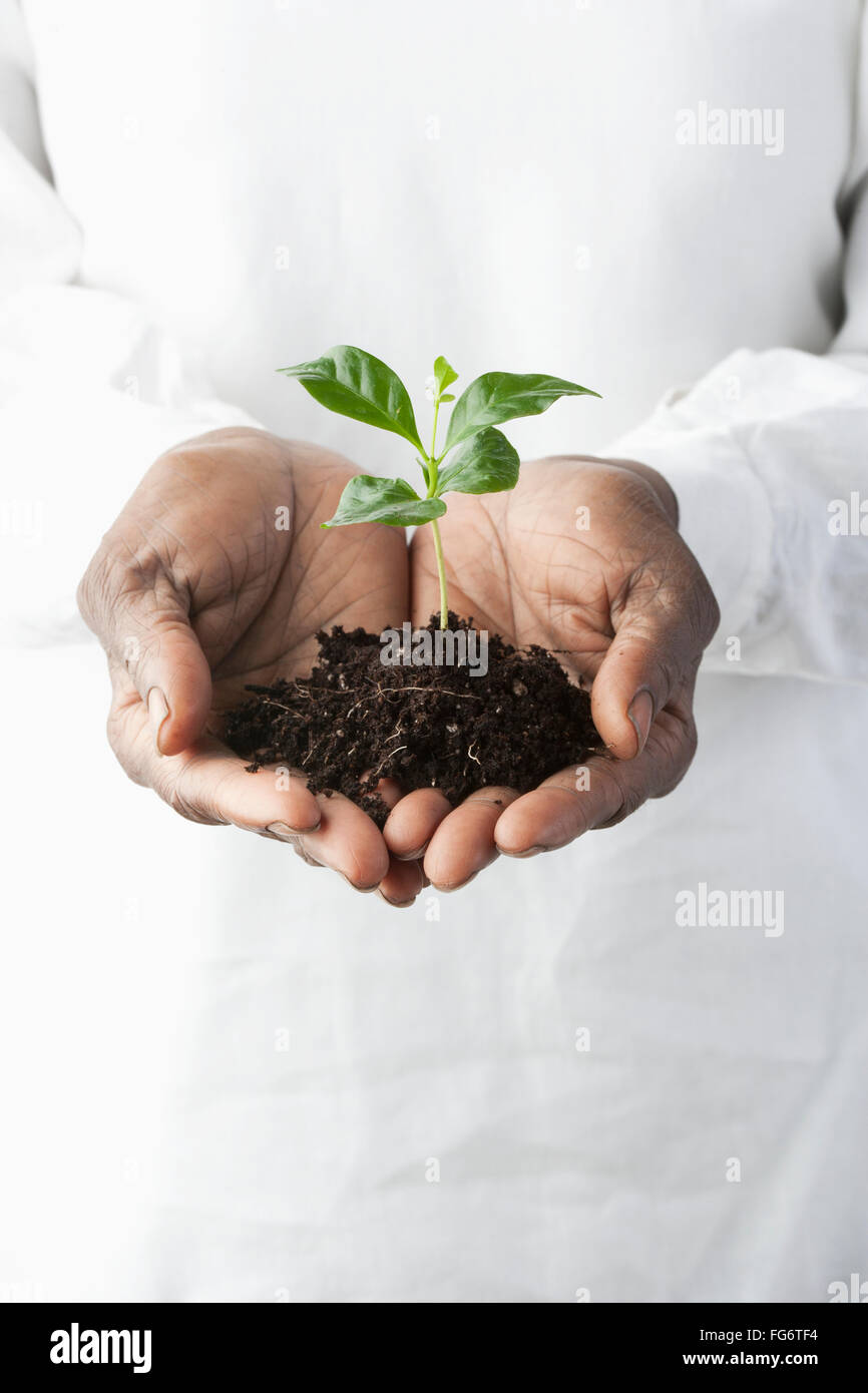 Mound of soil hi-res stock photography and images - Alamy