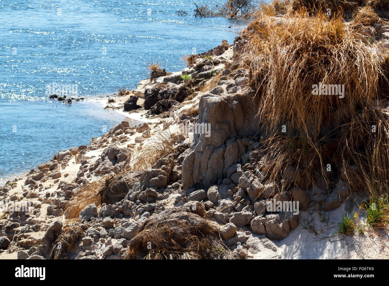 bank of the Zambezi river - fourth-longest river in Africa, Caprivi ...