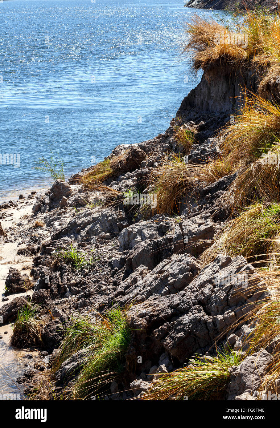 bank of the Zambezi river - fourth-longest river in Africa, Caprivi ...