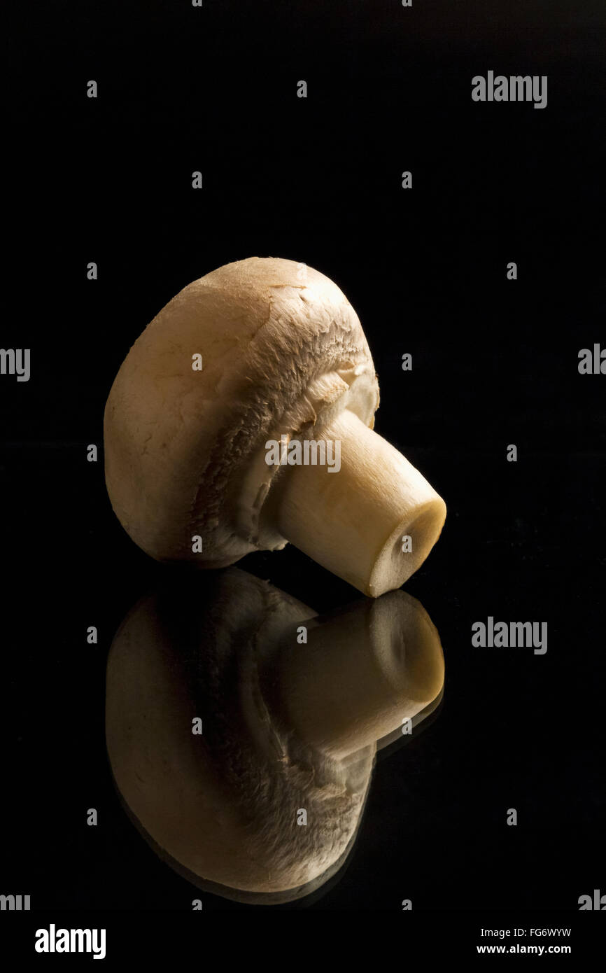 Button mushroom hi-res stock photography and images - Alamy
