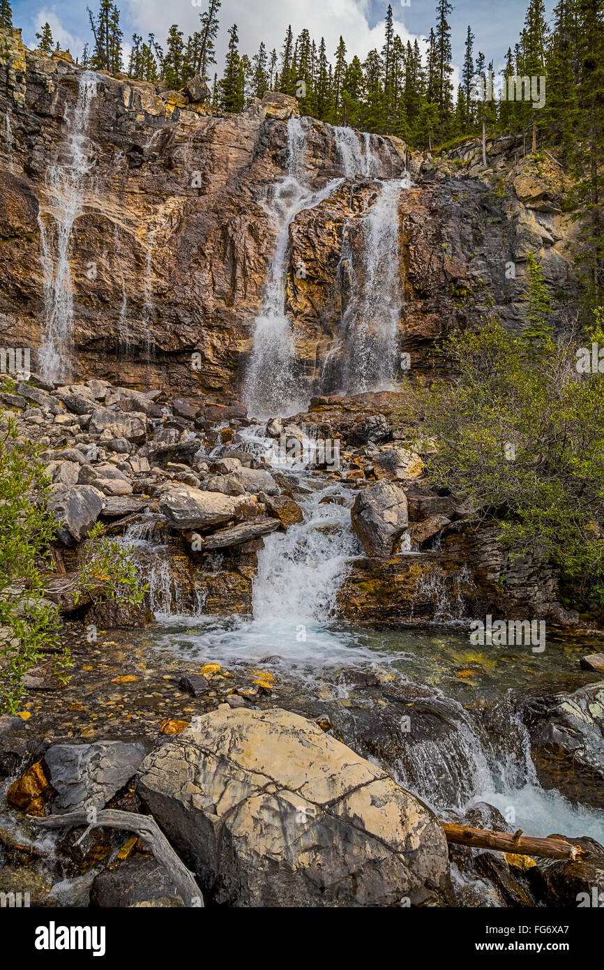 Tangle Falls, Jasper National Park; Alberta, Canada Stock Photo - Alamy