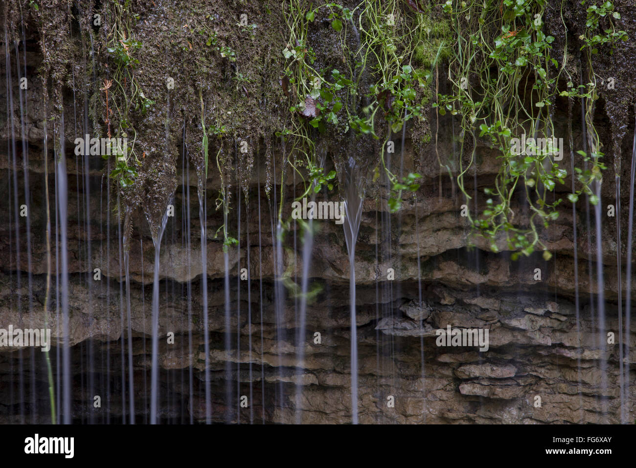Limestone waterfall, Silver Creek, Halton Region; Ontario, Canada Stock ...