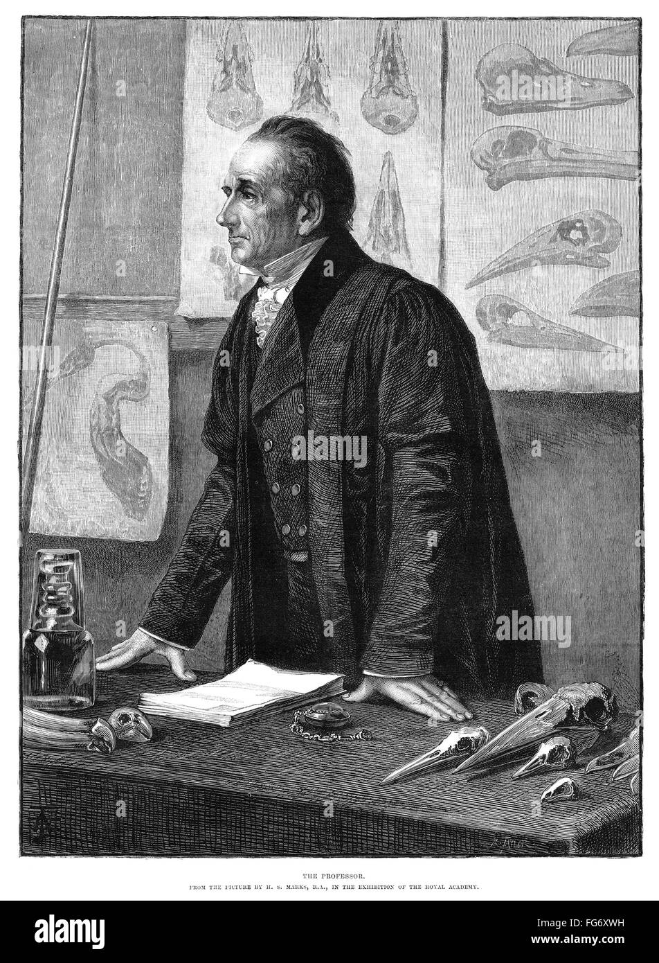 Henry stacy marks hi-res stock photography and images - Alamy