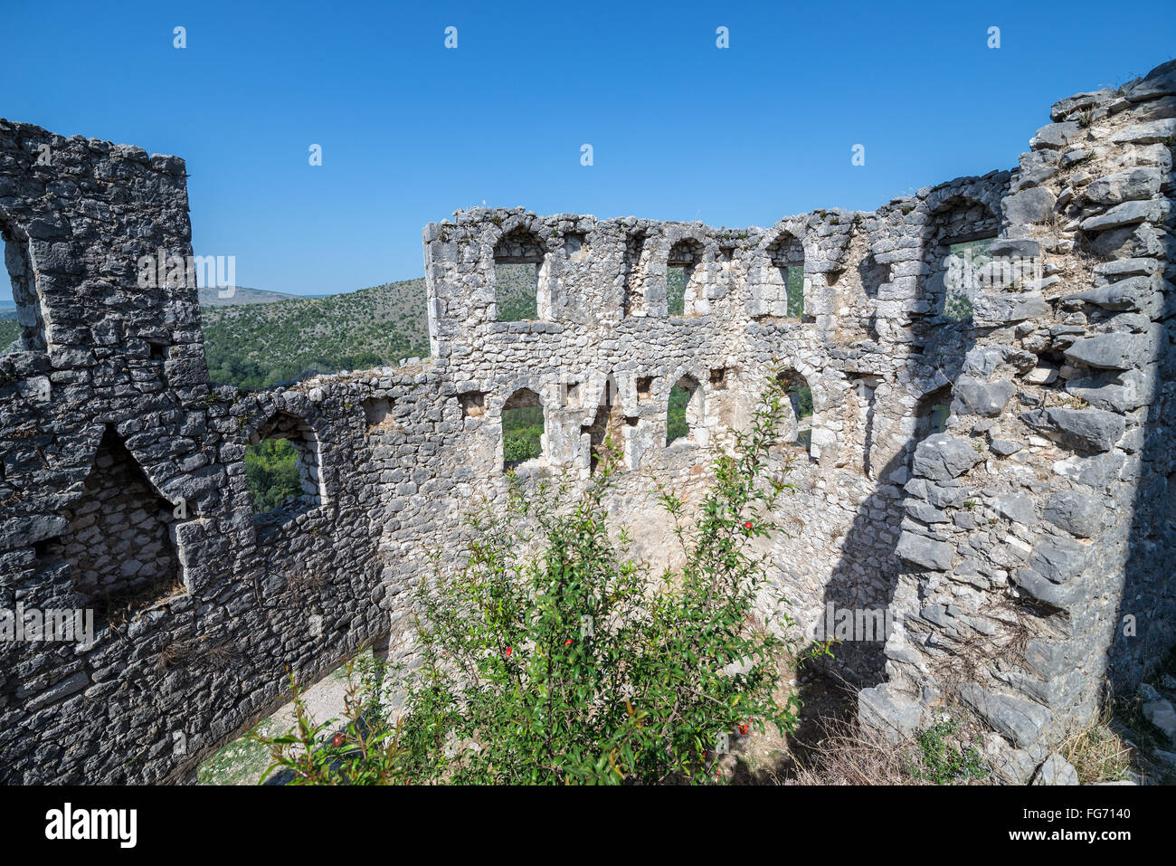 Ruins of wall of medieval citadel built by King Tvrtko I of Bosnia in ...