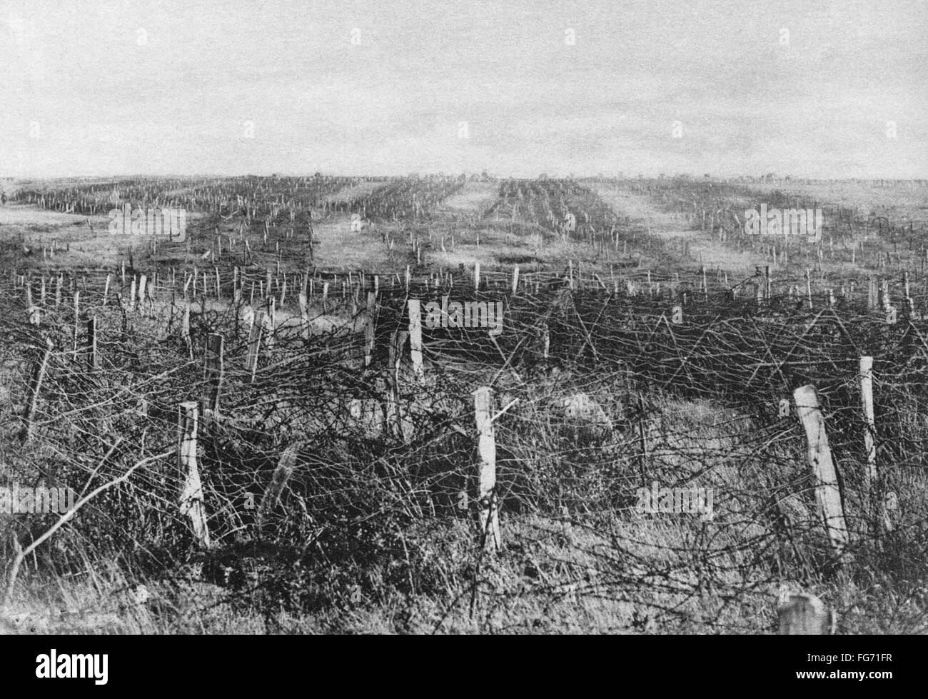 WORLD WAR I: BARBED WIRE. /nBarbed wire on a battlefield on the Western ...