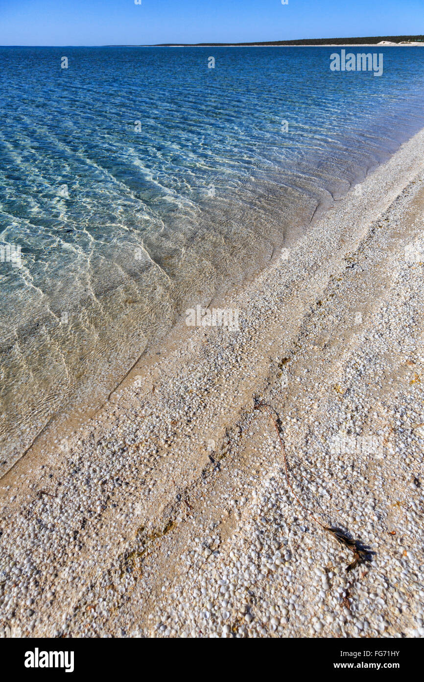 Hamlin Pool in Western Australia Stock Photo - Alamy