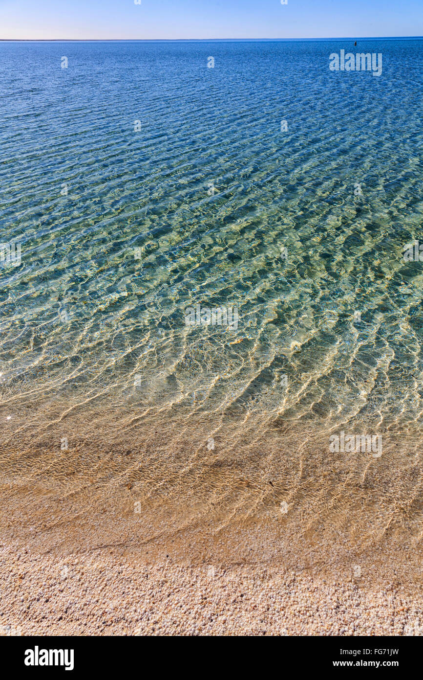 Hamlin hi-res stock photography and images - Alamy