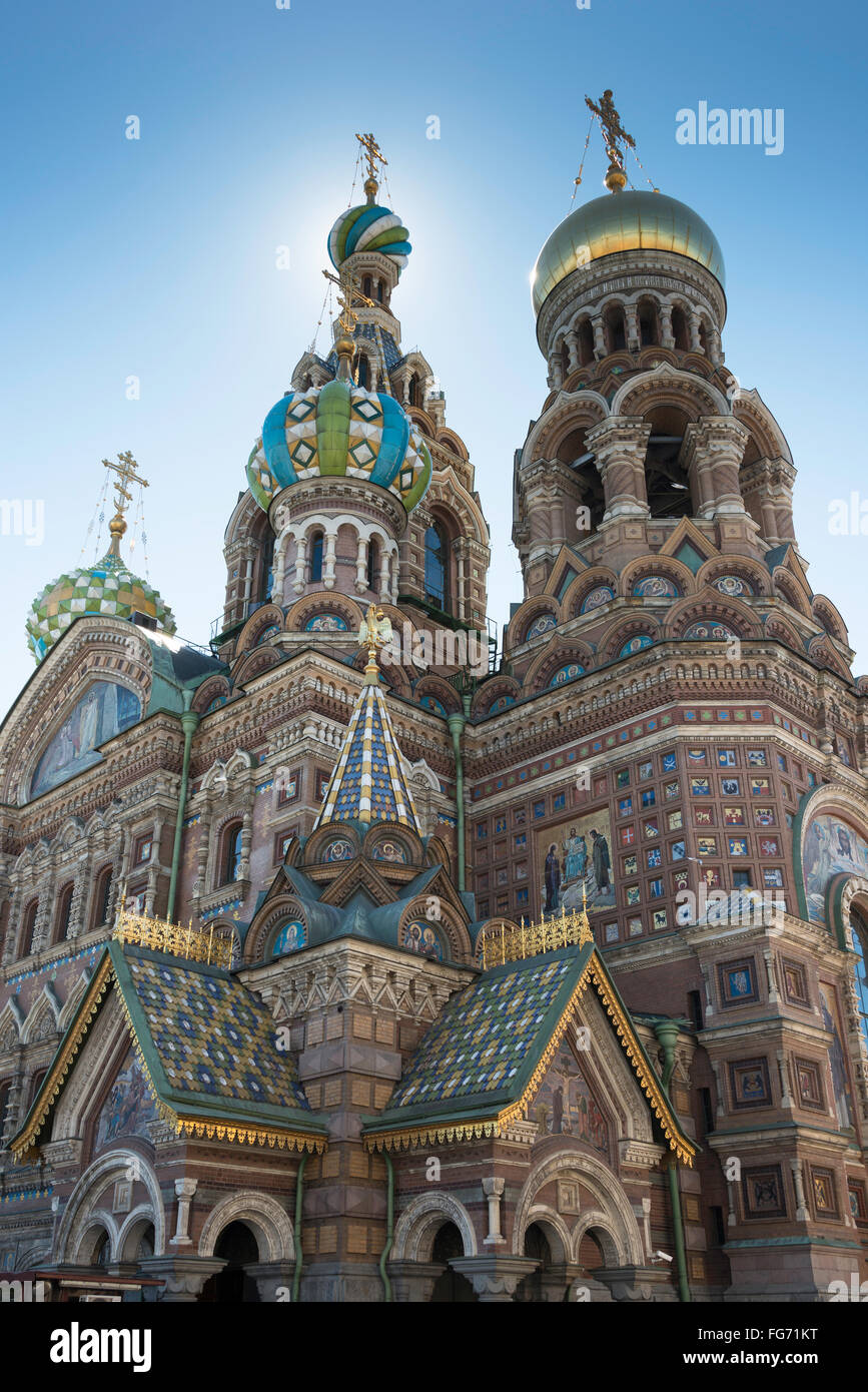 Blood culture hi-res stock photography and images - Alamy