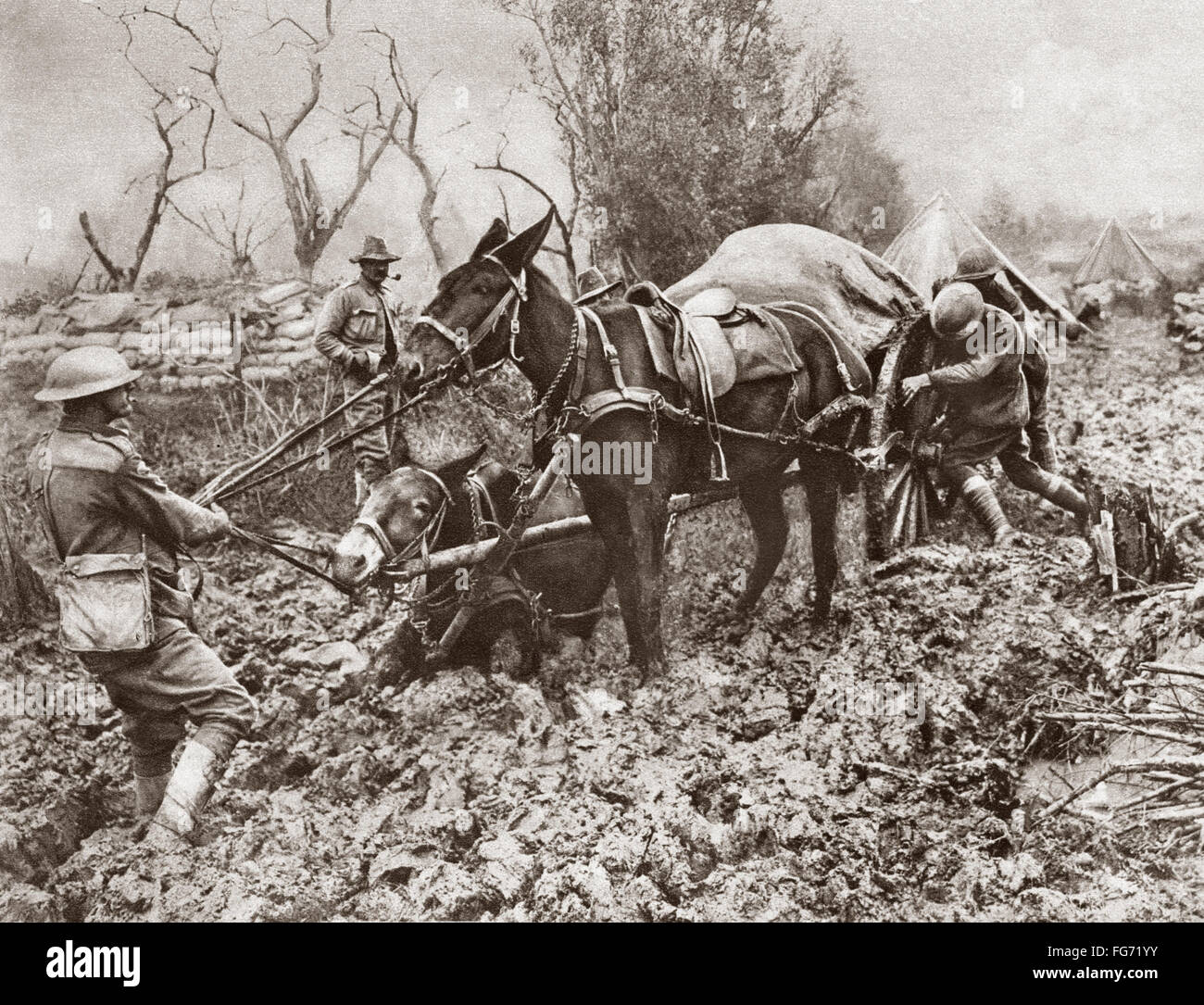 WORLD WAR I: FLANDERS. /nBritish troops pushing and pulling a mule team ...