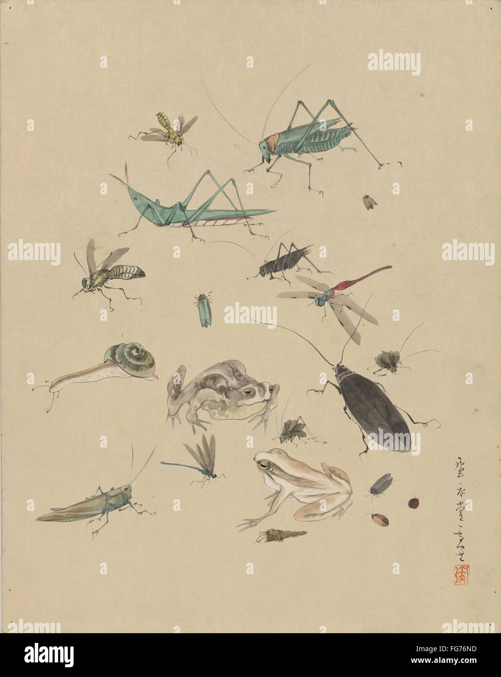 JAPAN: INSECTS, c1825. /nFrogs, snails, grasshoppers, beetles, wasps ...