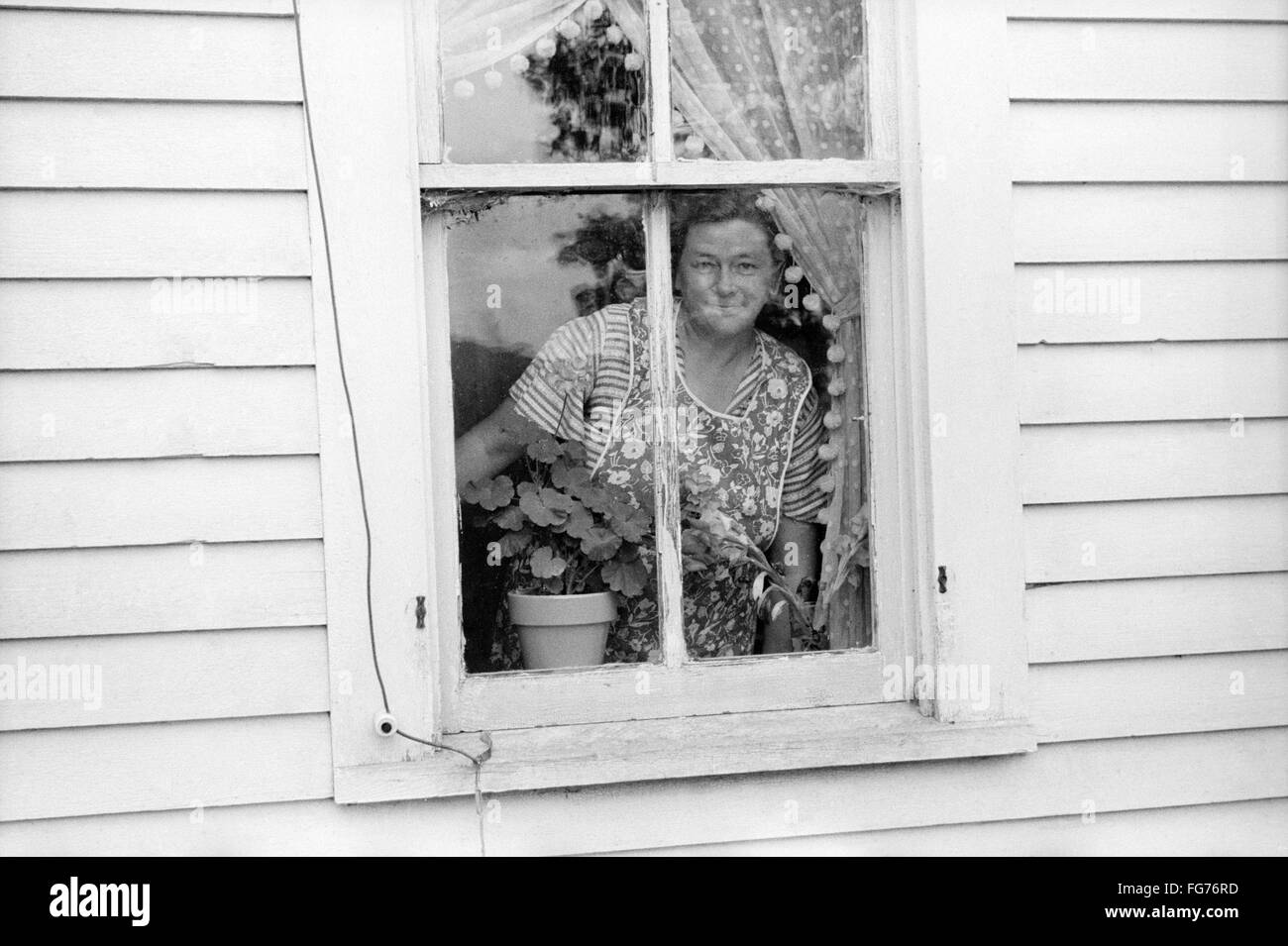 WOMAN IN A WINDOW, c1939. /nSmiling woman peering out of a window ...