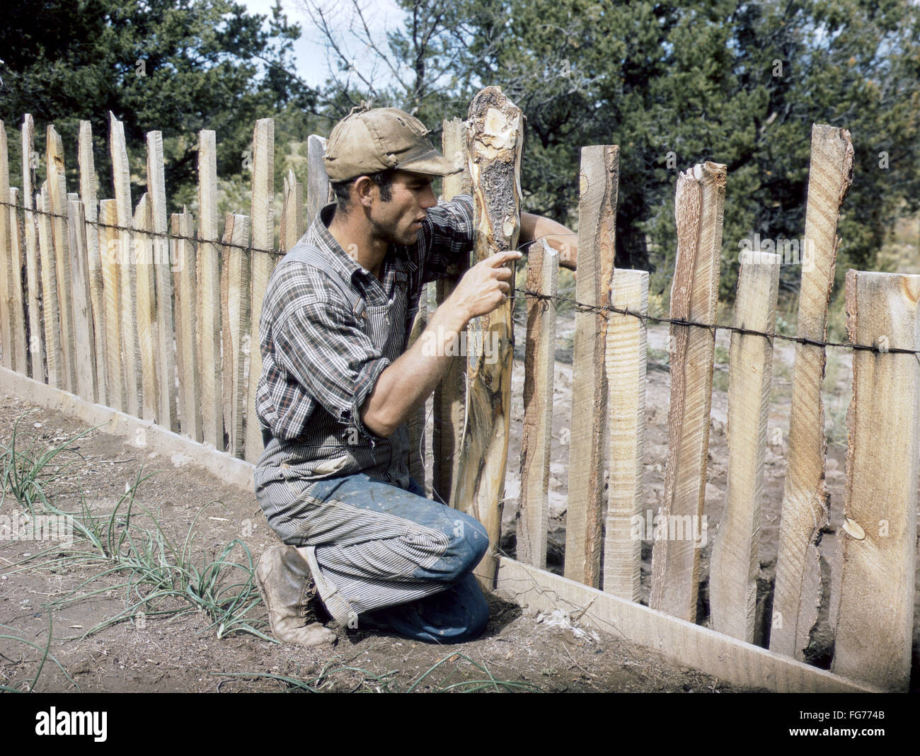 NEW MEXICO: PIE TOWN, 1940. /nHomesteader Jack Whinery repairing a ...