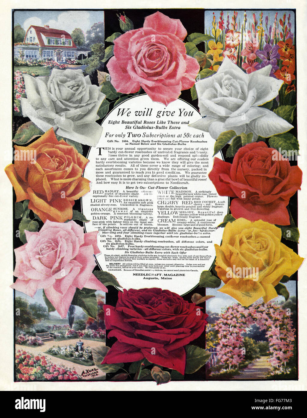 ROSES, 1927. /nAmerican advertisement for a subscription to Needlecraft ...