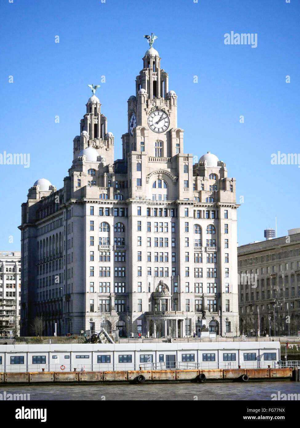 The Royal Liver Building Liverpool Stock Photo - Alamy