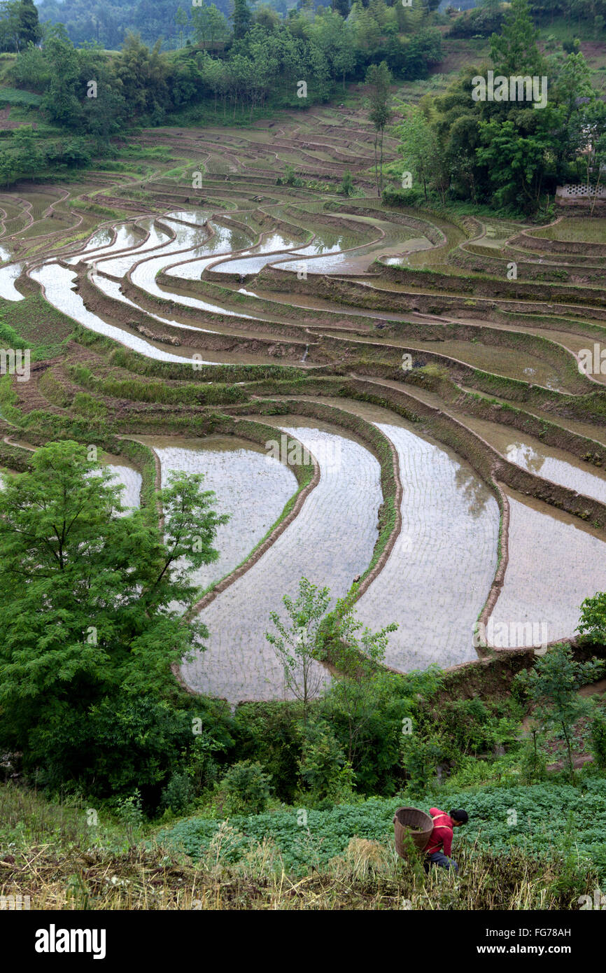 Enshi Tujia and Miao Autonomous Prefecture Hubei Province China Stock ...