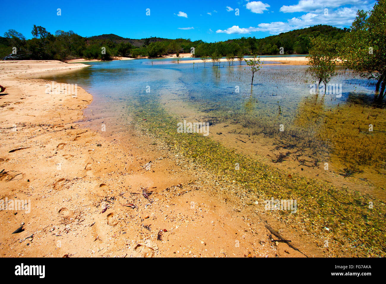 river in the blue lagoon relax and bush in madagascar coastline nosy ...